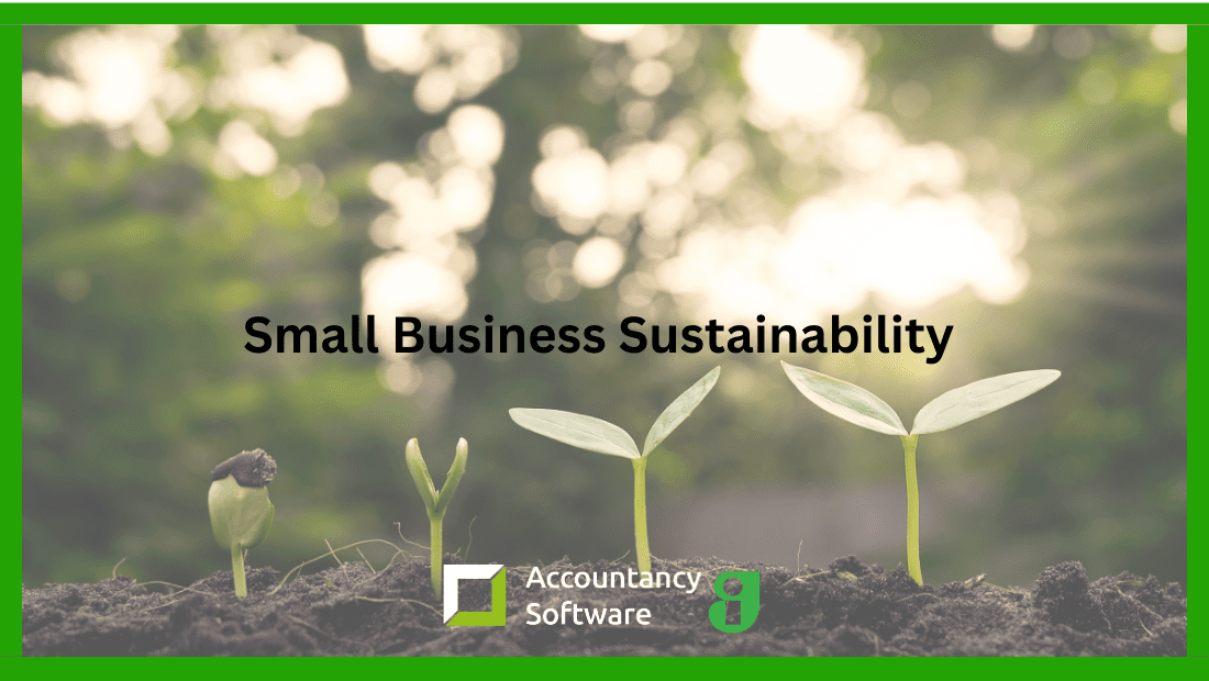 Focus on Small Business Sustainability - Accountancy Software